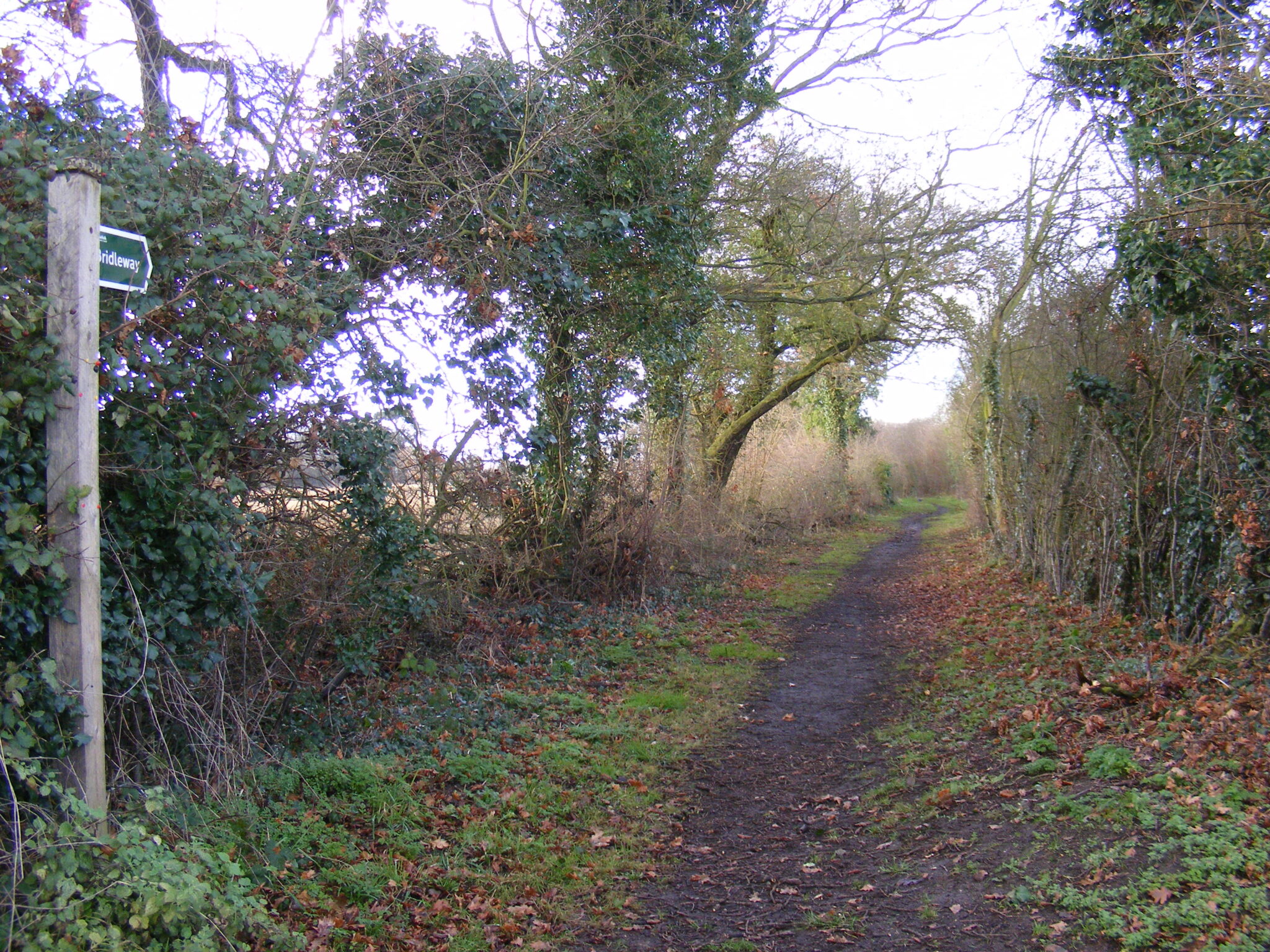 What Are the Different Right of Way Types? - Rights of Way UK