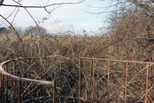 What to do if Your Path is Blocked? - Rights of Way UK